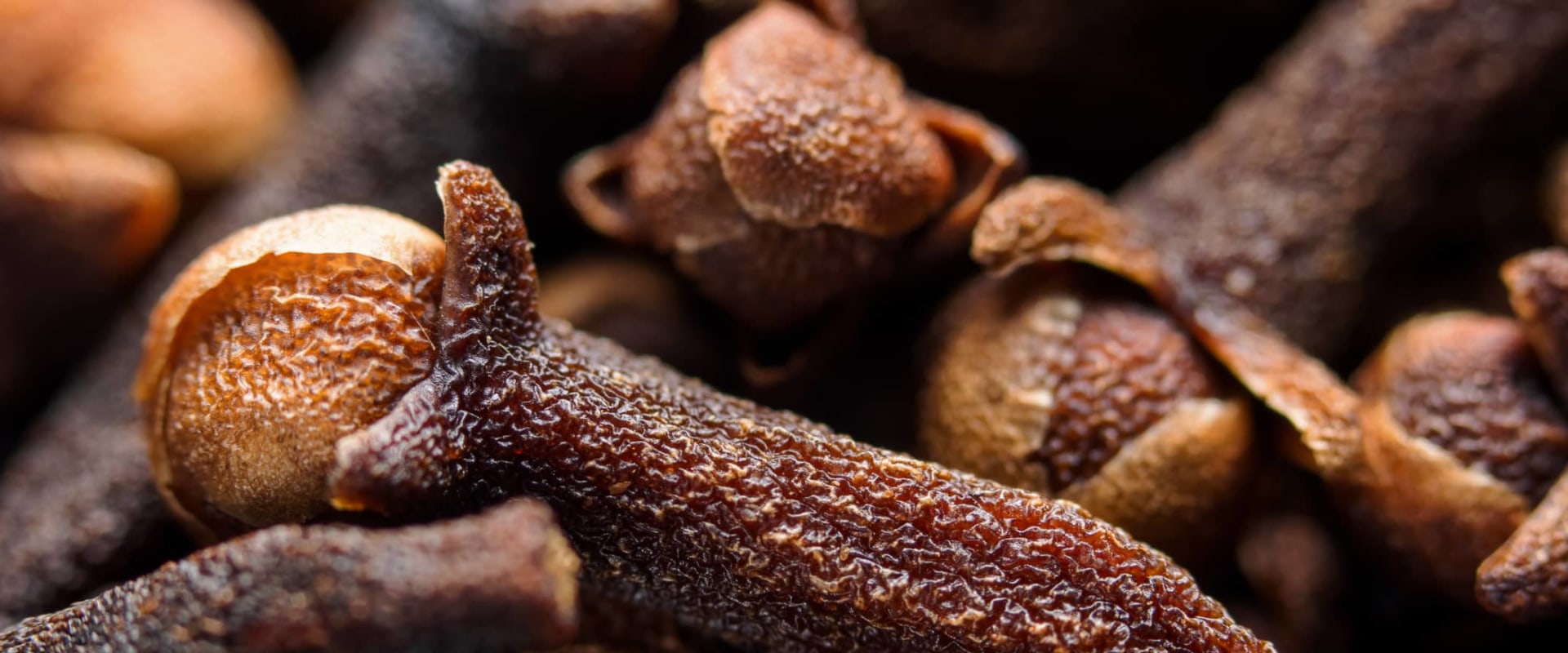 Unlock the Magic of Macro Photography with Filters